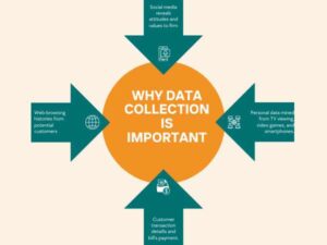 Why Data Collection is Important | 5 Key Reasons
